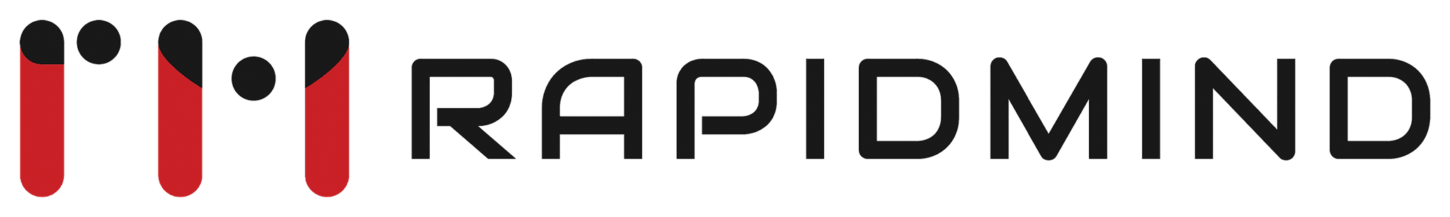 Web Design Company | Nextjs Development | RAPIDMIND